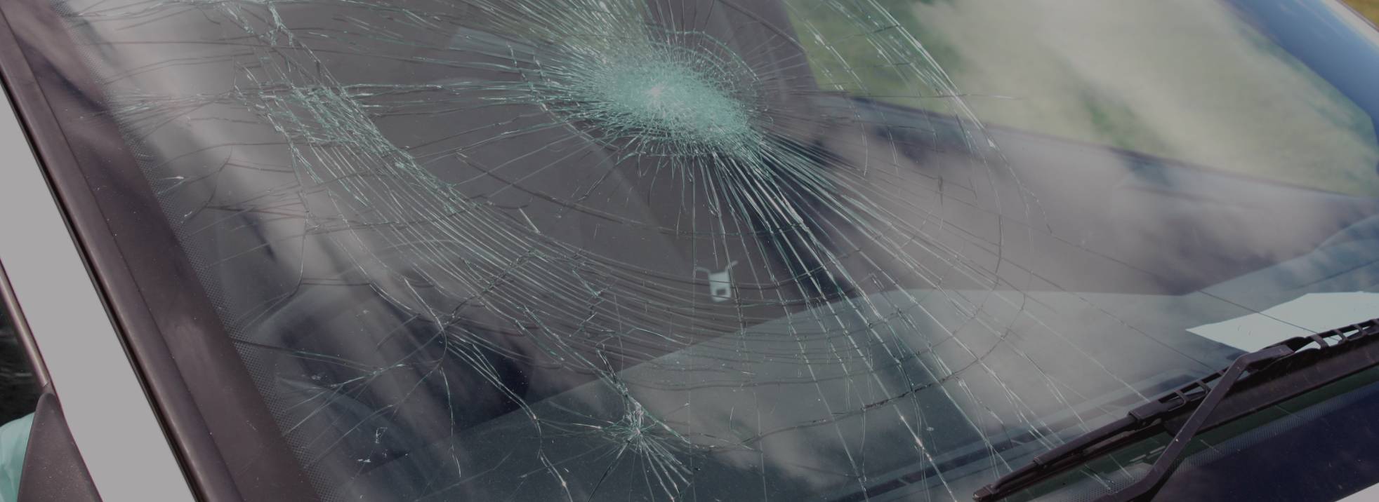 New Vision Auto Glass Plus Tint is an Auto Glass Company in Chino, CA 91710